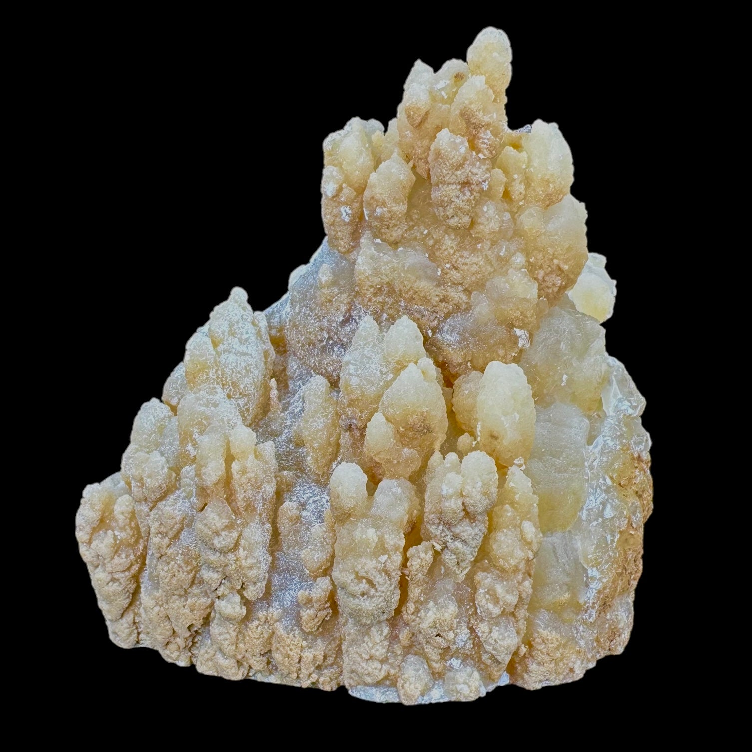 Stalactite Formation (Calcite) – Carolina Aquatics