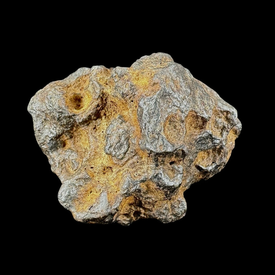 Meteorite – Carolina Aquatics