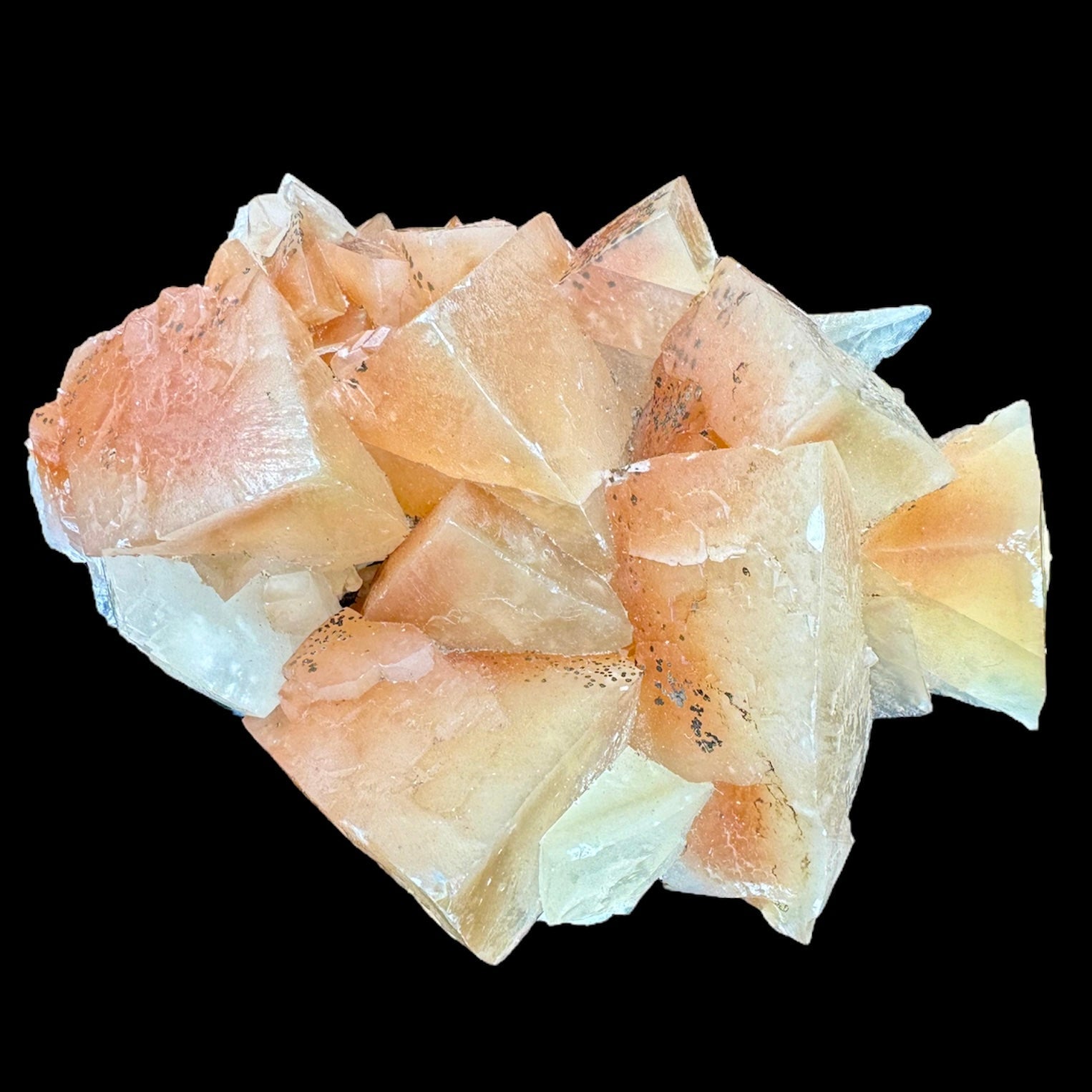 Mariposa Calcite – Carolina Aquatics