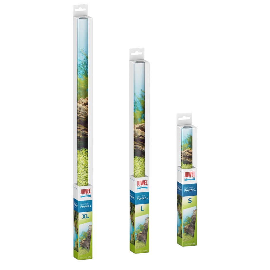 Juwel – Carolina Aquatics